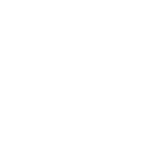 Servicios – Wolf Movement